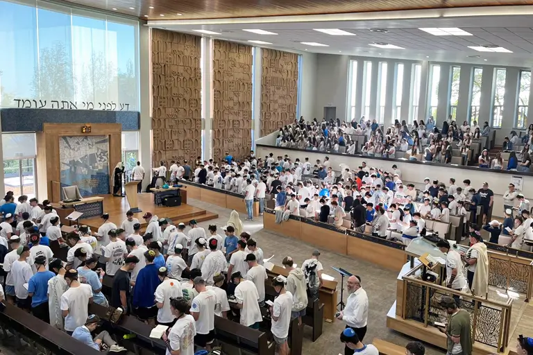 King David High School - King David ONE